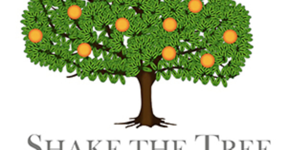 The Film Catalogue | Shake The Tree Productions